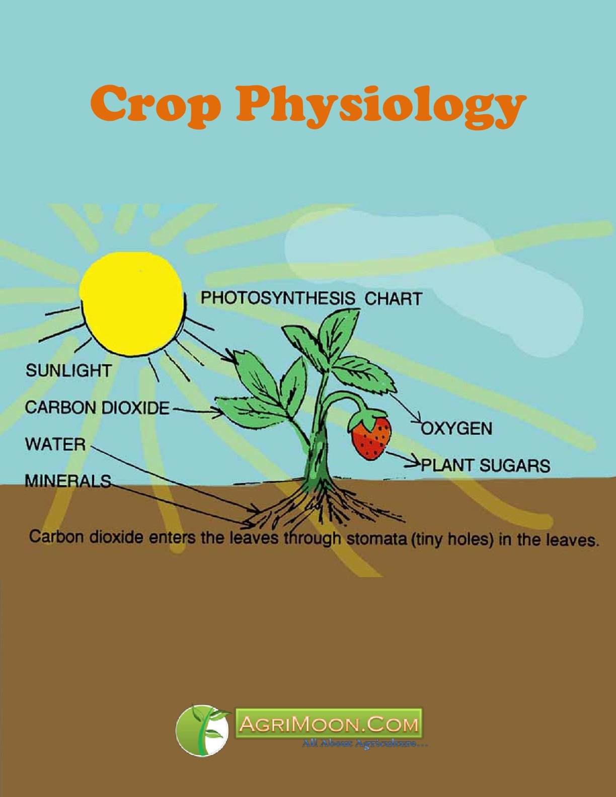 Crop Physiology PDF Book Crop Physiology PDF Book
