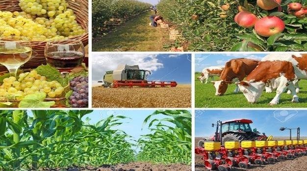 Diversification in Agriculture - AgriMoon